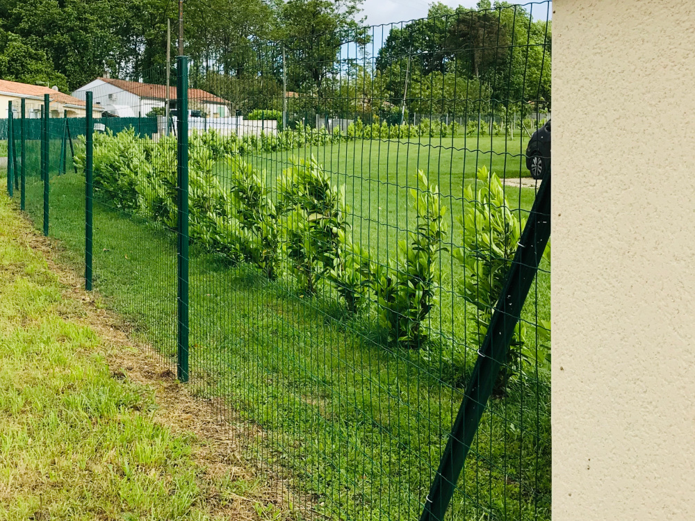Clôture grillage